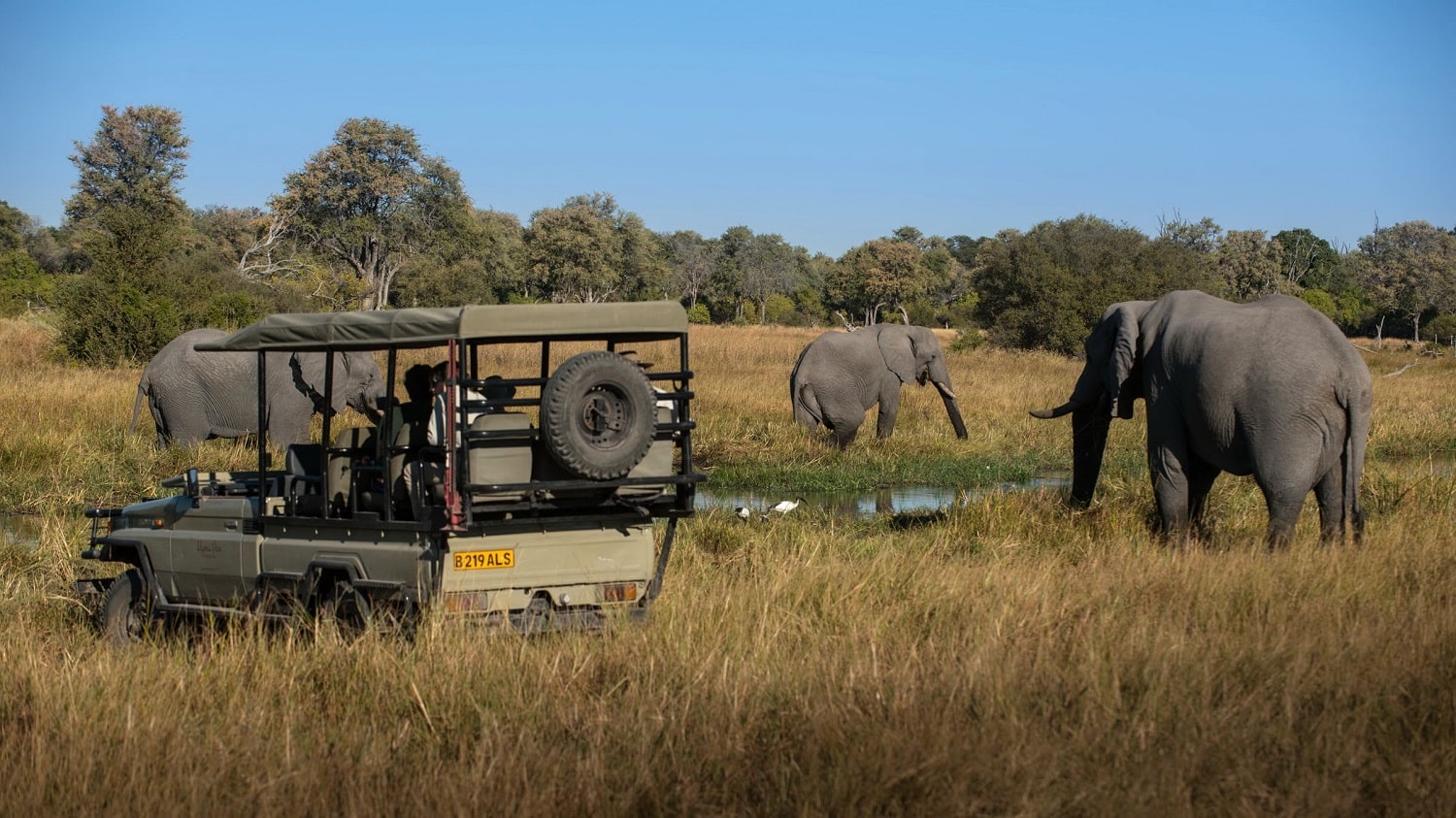 Quelles sont les meilleures destinations pour un safari ? - Travel ...